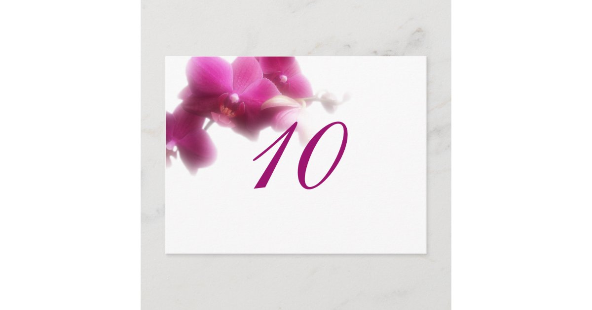 Table Number Postcard | Zazzle