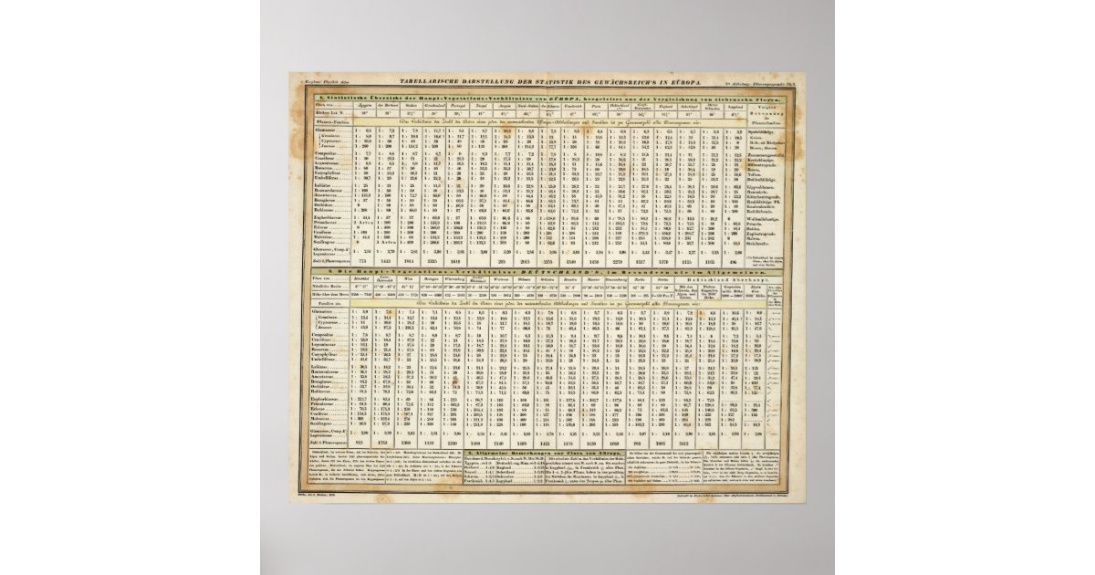 tabular representation of statistics poster | Zazzle