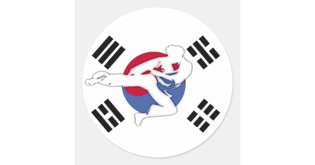 Tae Kwon Do Flyer Stickers | Zazzle