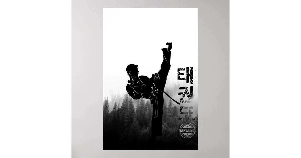 Taekwondo Korean High Kick Poster | Zazzle