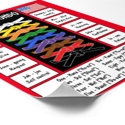 Taekwondo Poster | Zazzle