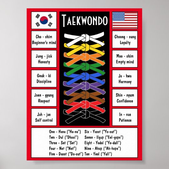 Taekwondo Poster | Zazzle.com