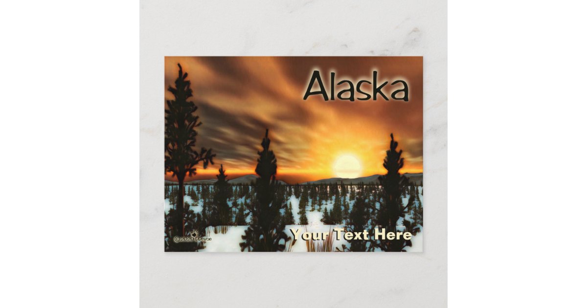 Taiga Sun - Alaska Postcard | Zazzle