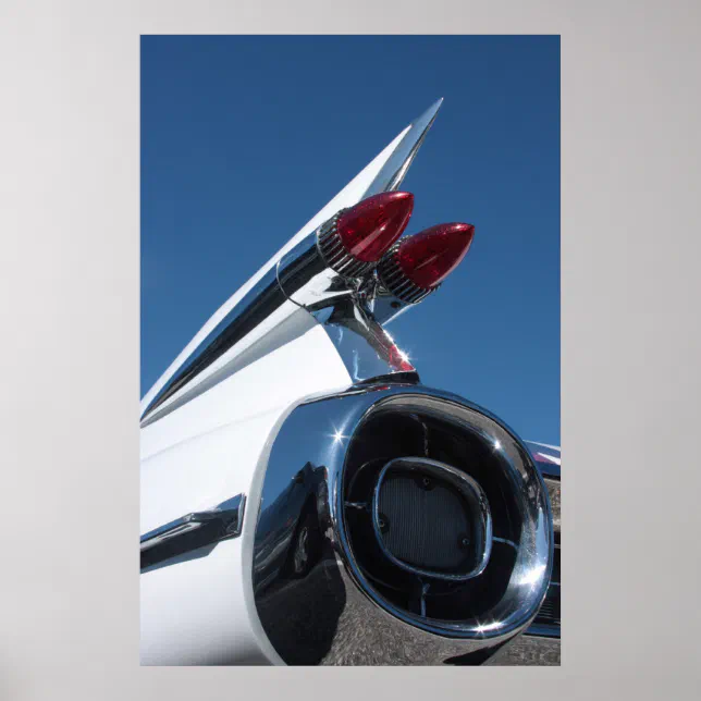 Tail Fin Poster | Zazzle