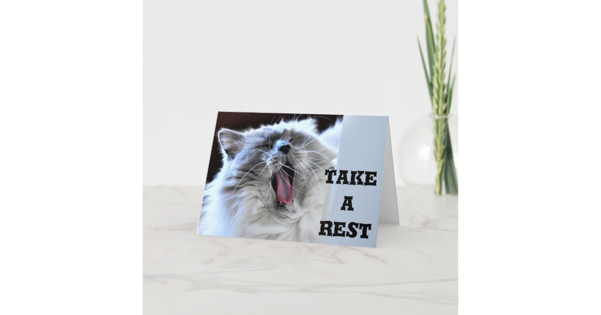 Take a Rest, card | Zazzle