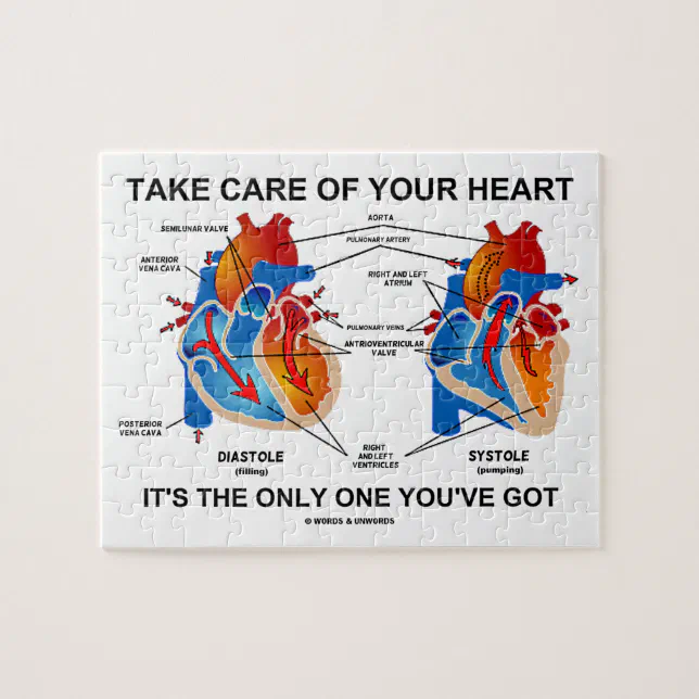 Take Care Of Your Heart It's Only One You've Got Jigsaw Puzzle | Zazzle