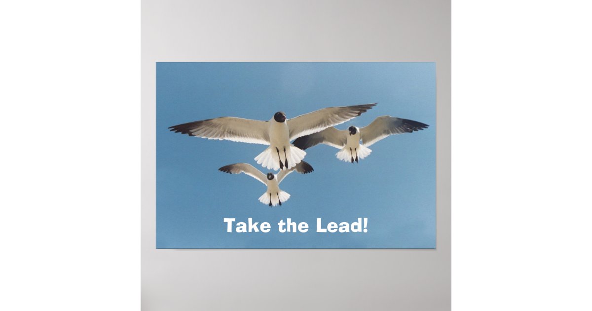 Take the Lead! Poster | Zazzle