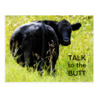 Black Angus Funny Cow Photo Postcard | Zazzle.com