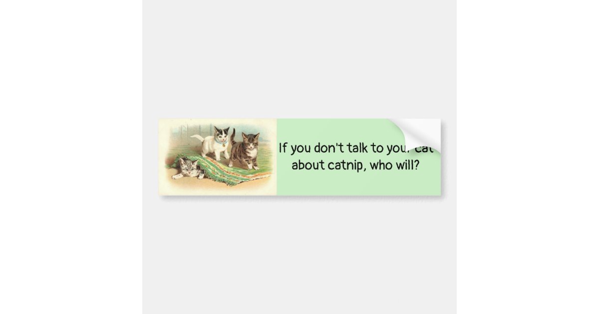 Talk to Your Cat About Catnip, Bumper Sticker | Zazzle