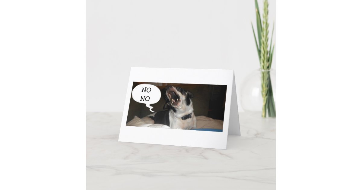 TALKING BASSETT HOUND HUMOR - BIRTHDAY CARD | Zazzle