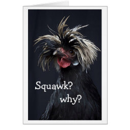 TALKING CHICKEN SQUAWK WHY "40th HUMOR" | Zazzle