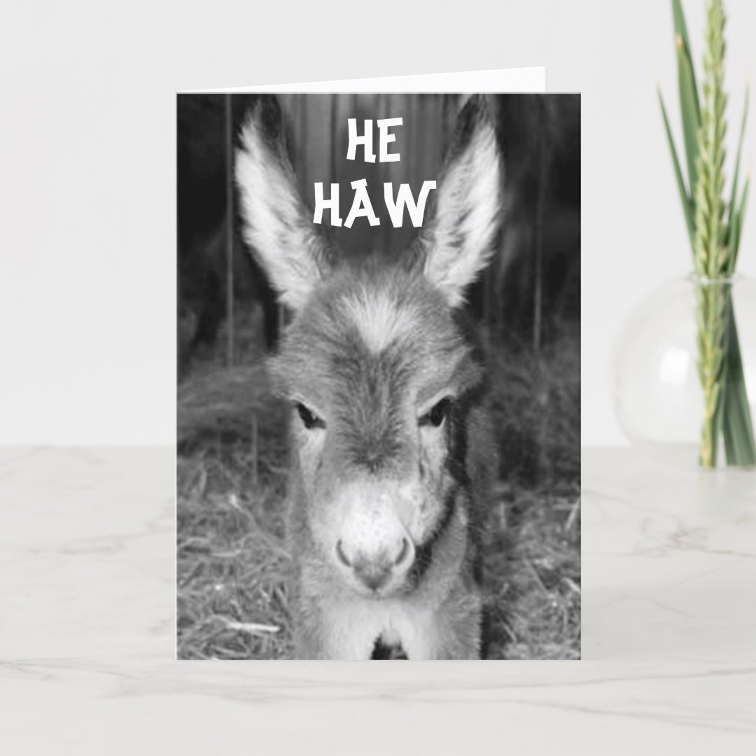 TALKING DONKEY HEW HAWS HAPPY BIRTHDAY WISHES CARD | Zazzle