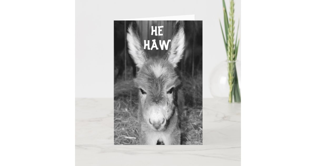 TALKING DONKEY HEW HAWS HAPPY BIRTHDAY WISHES CARD | Zazzle