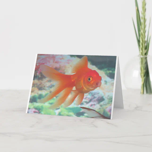 Talking Goldfish Card | Zazzle