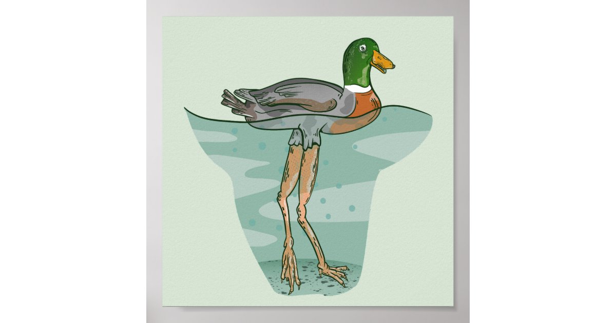 Tall duck with long legs poster | Zazzle