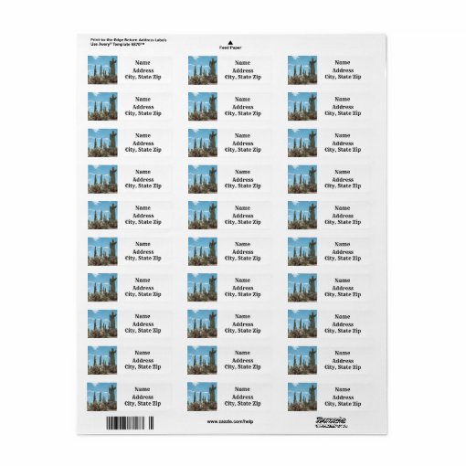 Tall Saguaro Cactus Desert Themed Address Label | Zazzle