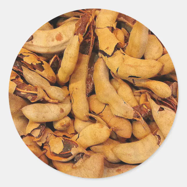 Tamarind Fruit Classic Round Sticker | Zazzle