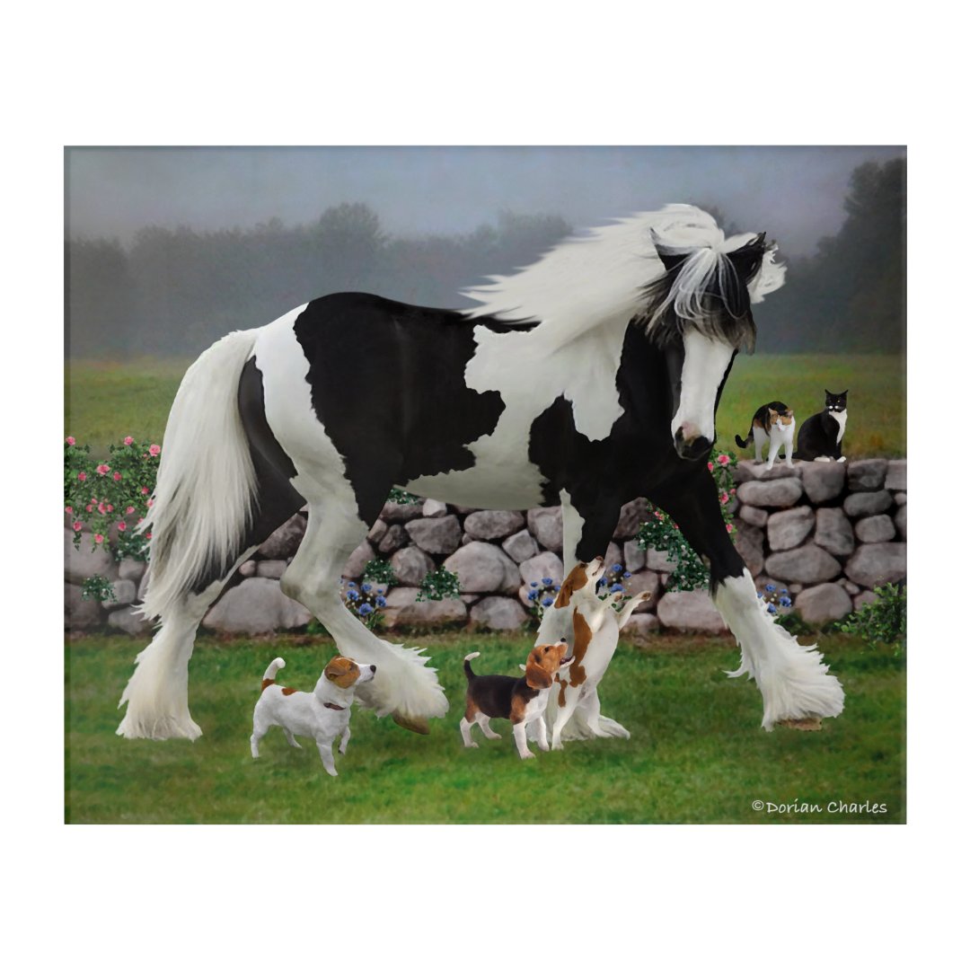 "Tamlin & The Pups" Acrylic Print | Zazzle
