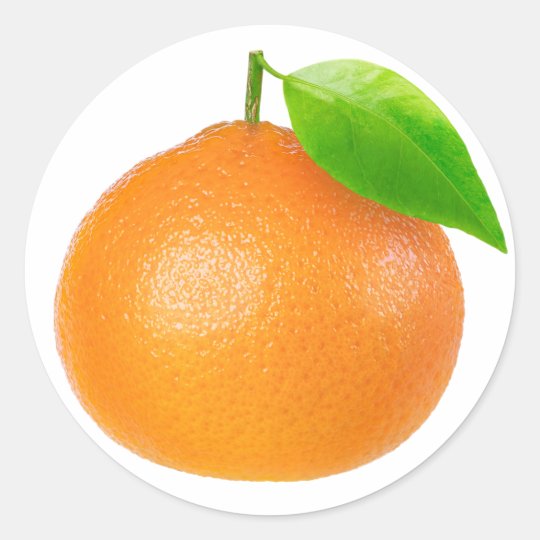 Tangerine Classic Round Sticker | Zazzle.com