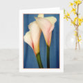 Tango Calla Lily Photo Greeting Card | Zazzle