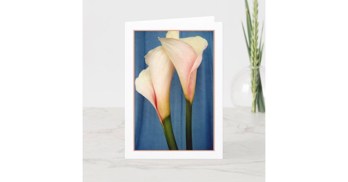 Tango Calla Lily Photo Greeting Card | Zazzle