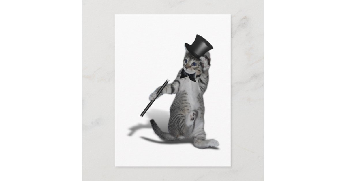 Tap Dancing Cat Postcard | Zazzle