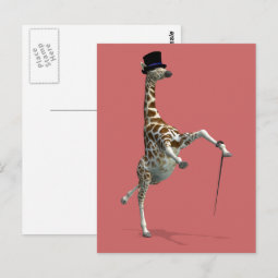 Tap Dancing Giraffe Postcard | Zazzle