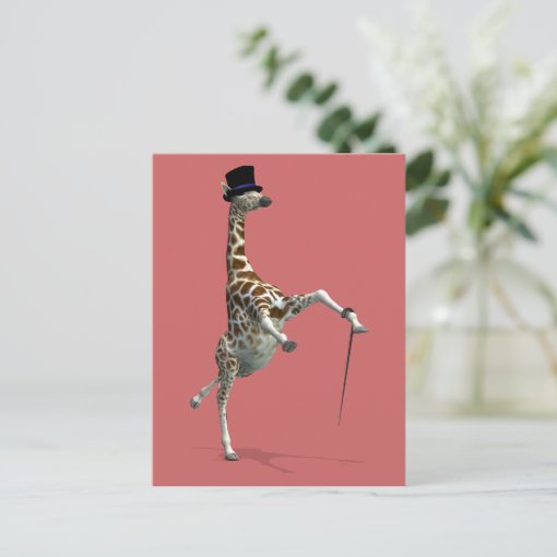 Tap Dancing Giraffe Postcard | Zazzle
