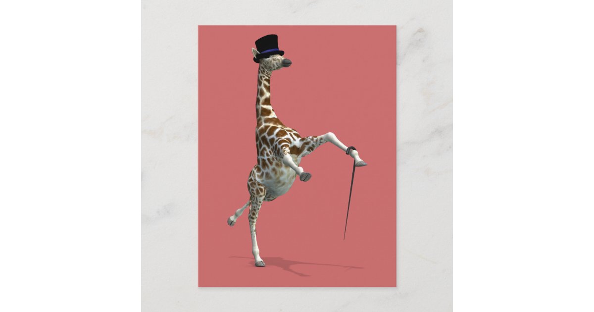 Tap Dancing Giraffe Postcard | Zazzle