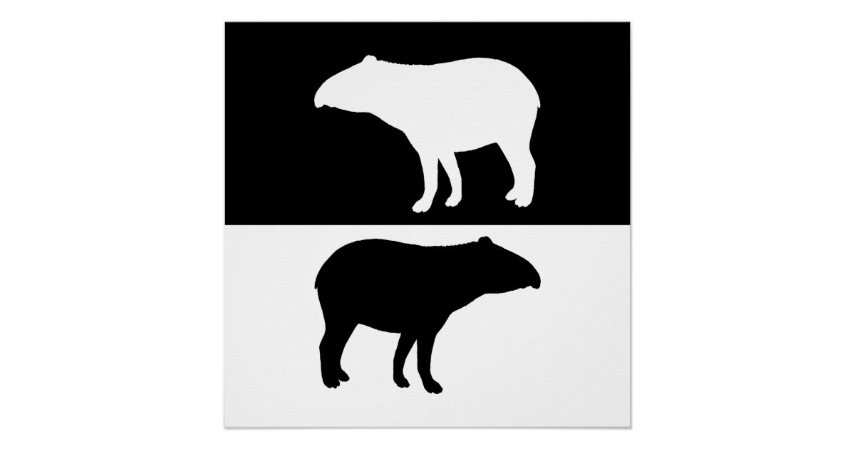 Tapir Poster | Zazzle