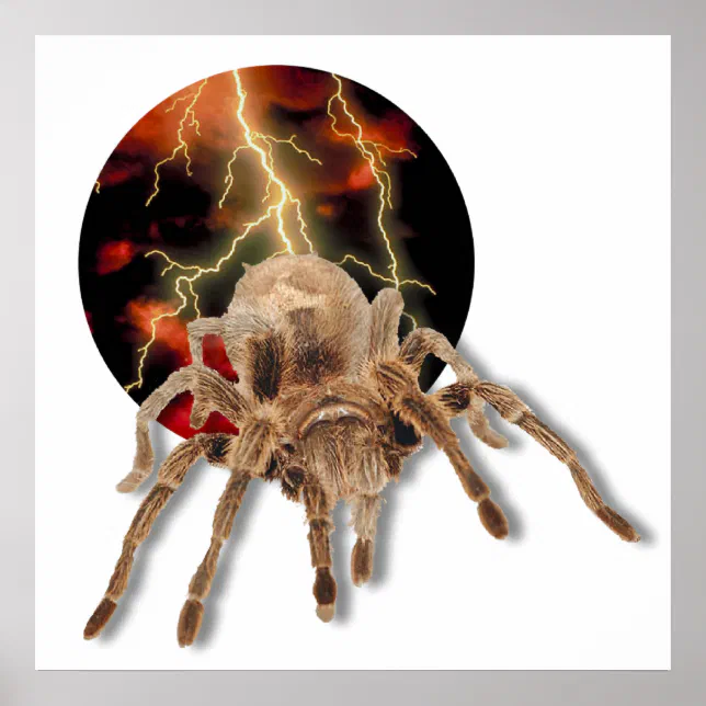 Tarantula Lightning Poster | Zazzle