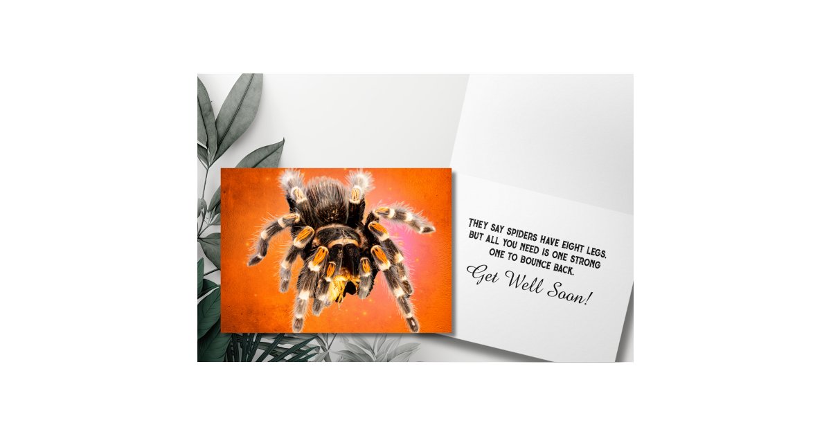 Tarantula Spider Get Well Card | Zazzle