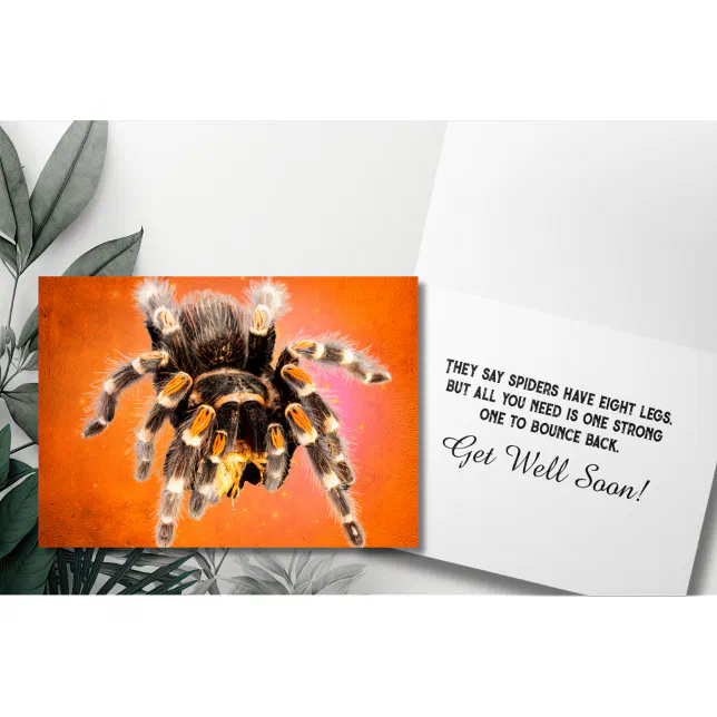 Tarantula Spider Get Well Card | Zazzle