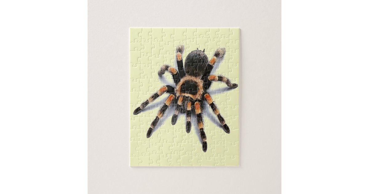 TARANTULA SPIDER JIGSAW PUZZLE | Zazzle