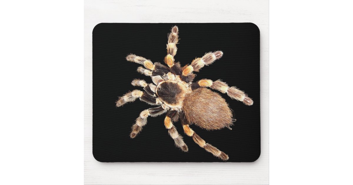 Tarantula Spider Mouse Pad | Zazzle