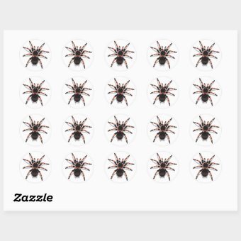 Tarantula Sticker | Zazzle