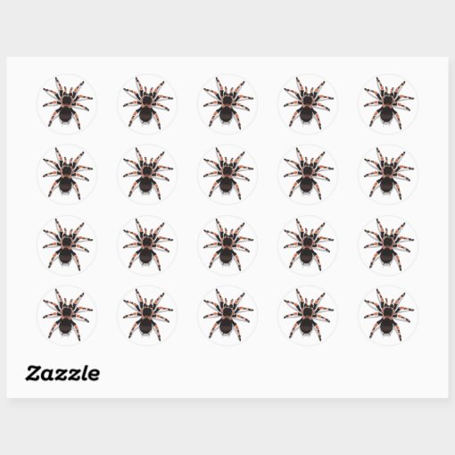 Tarantula Sticker | Zazzle