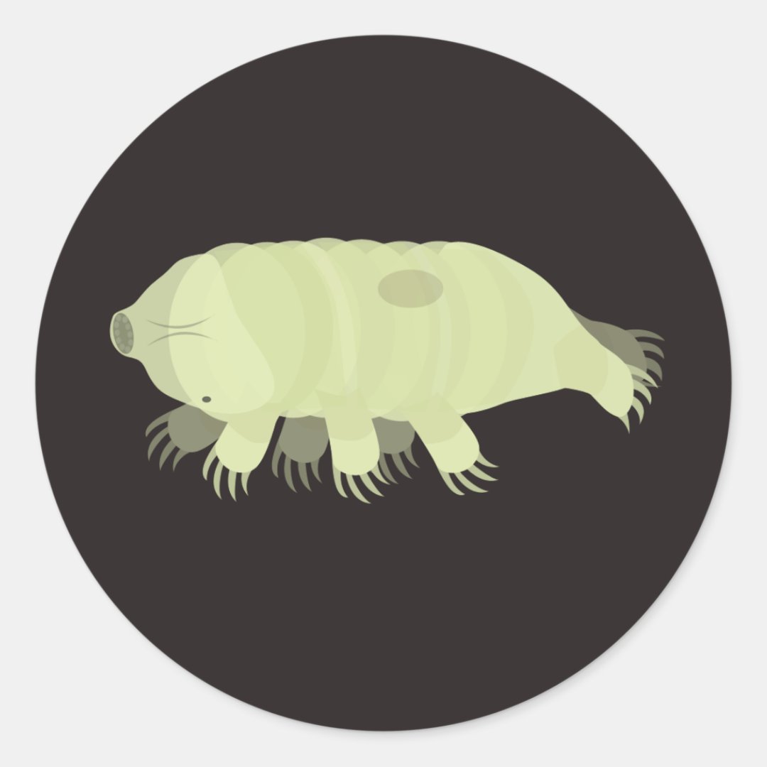 Tardigrade sticker | Zazzle