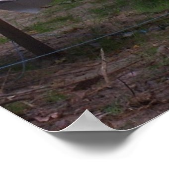 Target Practice Poster | Zazzle