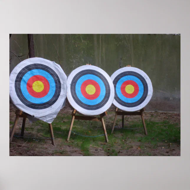 Target Practice Poster | Zazzle