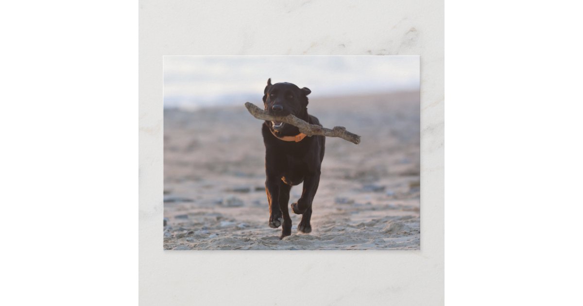 tarifa, cadiz, spain postcard | Zazzle