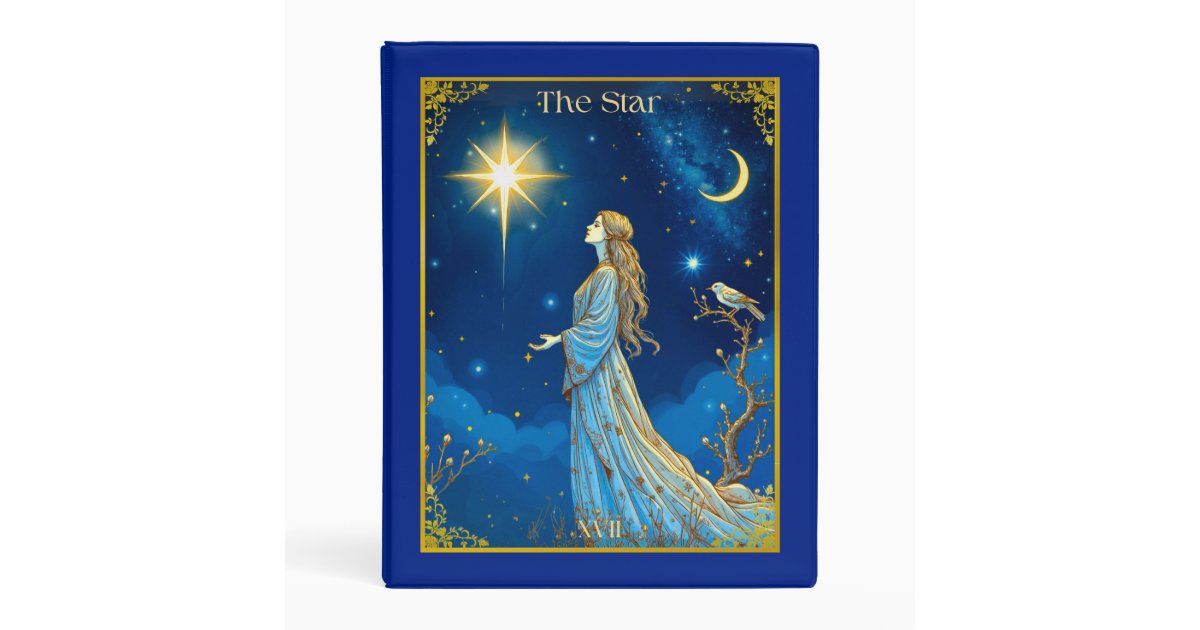 Tarot Card Illustration, The Star Mini Binder | Zazzle