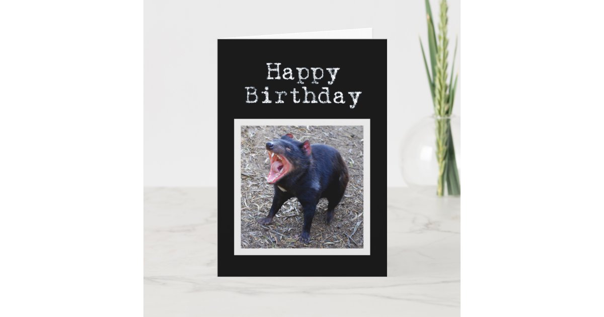 Tasmanian Devil Happy Birthday Card | Zazzle.com