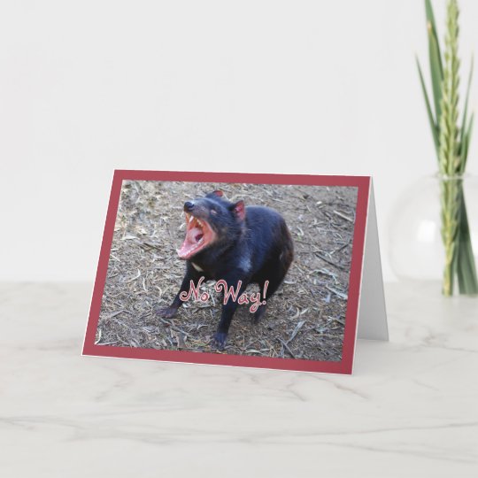 Tasmanian Devil Happy Birthday Greeting Card | Zazzle.com