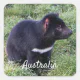 Tasmanian Devil, Tasmania, Australia Square Sticker | Zazzle