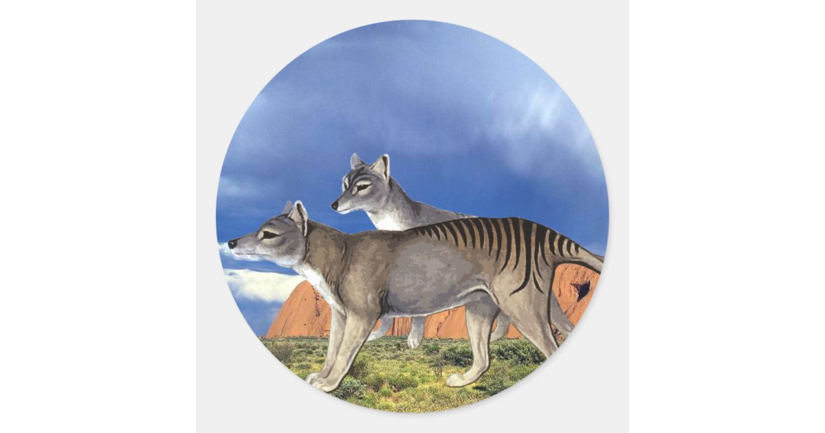 Tasmanian Tiger Sticker | Zazzle