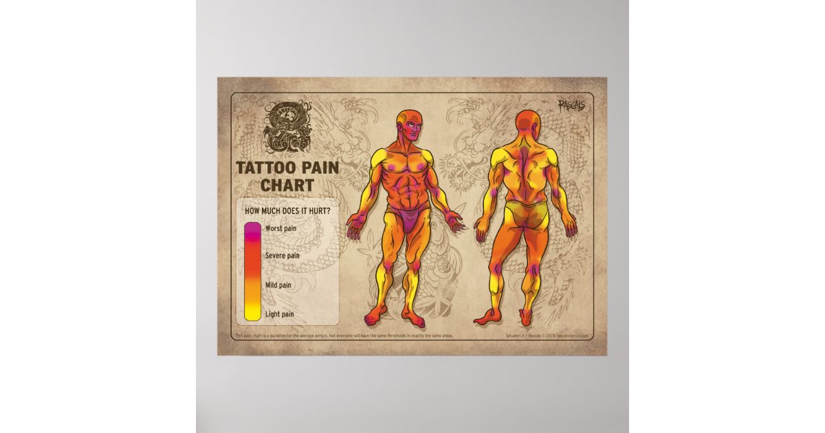 Tattoo Pain Chart - Rascals | Zazzle