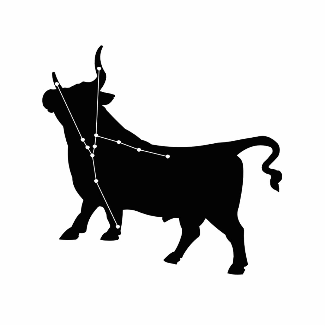 Taurus Constellation/Zodiac Photo Sculpture | Zazzle