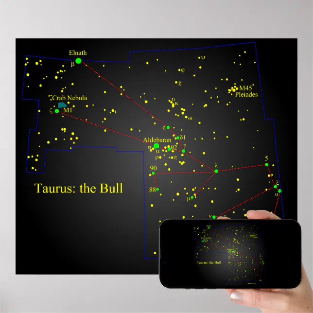 Taurus the Bull constellation Poster | Zazzle