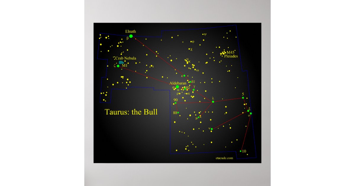 Taurus the Bull constellation Poster | Zazzle